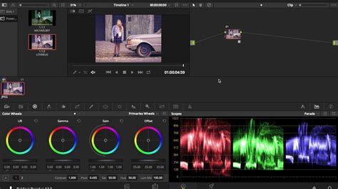 Face Filters Davinci Resolve At Dominic Nanya Blog