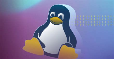 Top 5 Best Linux Distros Every Developer Must Use Tech Hyme