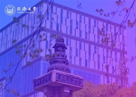 同济大学 SurveyKing