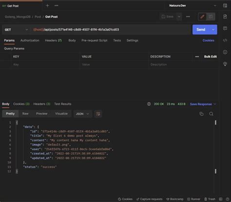 Build a RESTful CRUD API with Golang 2025
