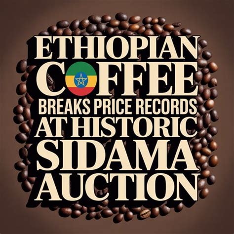 Ethiopian Coffee Shatters Price Barriers At Faysel Abdosh M Cultivo Auction