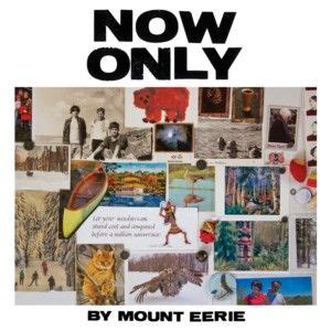 Mount Eerie A Crow Looked At Me Lyrics And Tracklist Genius