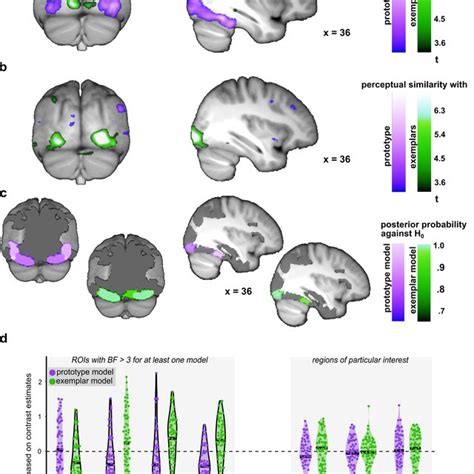Localisation Of Univariate Prototype And Exemplar Representations