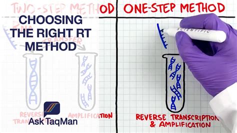 What Is The Right Rt Method For Your Experiment Ask Taqman 37 Youtube