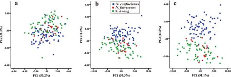 Principal Component Analysis Of External Measurements A Skull Download Scientific Diagram