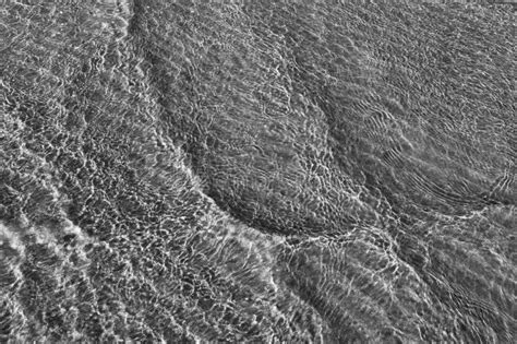 A Grayscale Of Monochrome Shallow Sea Stock Image Image Of Nature Seaside 279006203