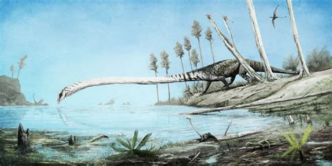Tanystropheus 6m Prolacertiform Marine Reptile Triassic Paleoart