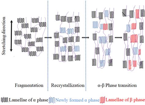 Polymer Crystallization Vol 2 No 4