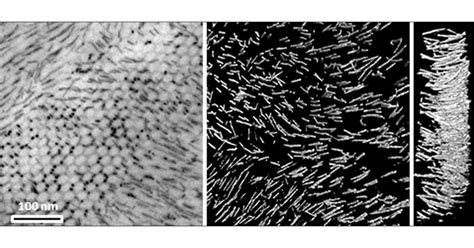 Direct Nanorod Assembly Using Block Copolymer Based Supramolecules