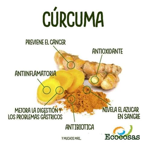 Gruporadiolavidaesocio Cúrcuma Para Qué Sirve Y Cómo Se Toma