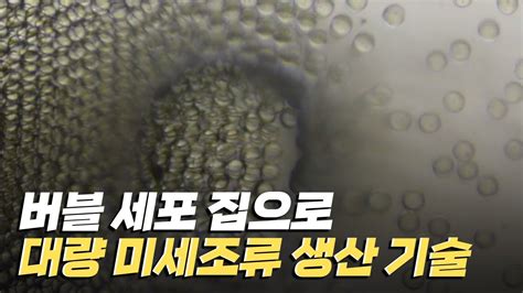핫클립 미세조류 배양에 중요한 미세 유체 시스템 Ytn 사이언스 Youtube
