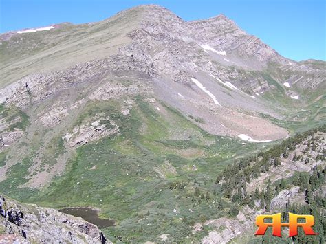 The Straight Shot Understanding Mule Deer Habitat