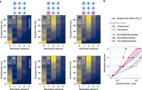 Otoc Measurements In Disordered Lattices A Representative Otoc Data In Download Scientific