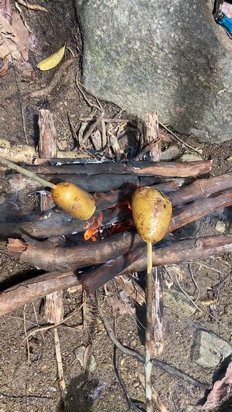 Smoke And Fire V3 Object Detection Dataset By Visionifyai Arunima