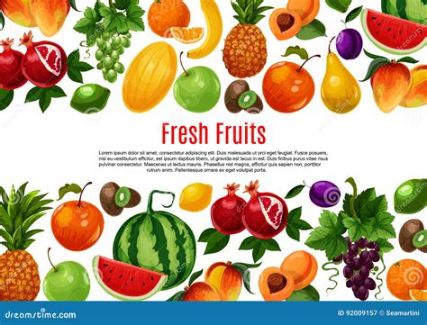 Vector Poster Of Fresh Garden Or Tropical Fruits Stock Vector