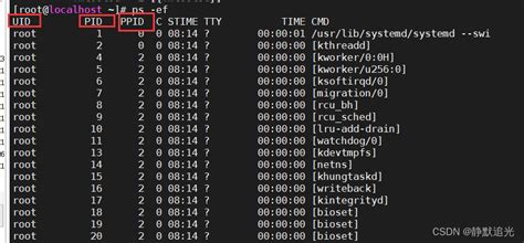 父子shellbash Shell 如何查看父shell和子shell Csdn博客