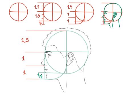 How To Draw A Face From The Side Step By Step