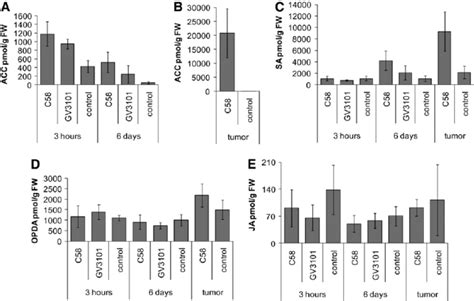 Content Of Signaling Molecules Involved In Pathogen Defense After