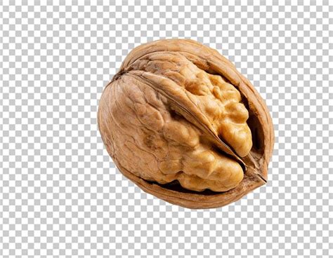 Premium Psd Single Walnut
