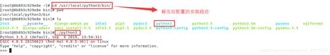 基于docker（纯净centos系统）打包centos7 python3的镜像 csdn博客