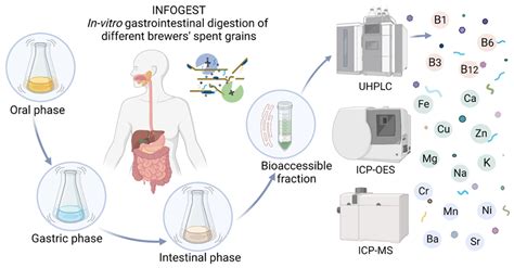 Nutrients Free Full Text In Vitro Digestibility Of Minerals And B