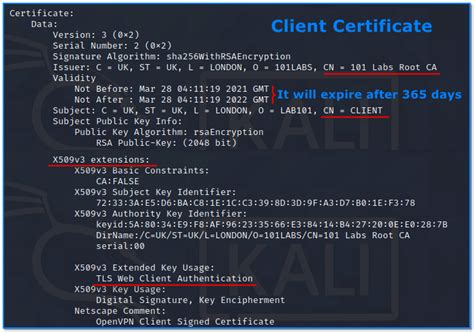 Lab How To Connect To An Internal Network Using OpenVPN Labs Net
