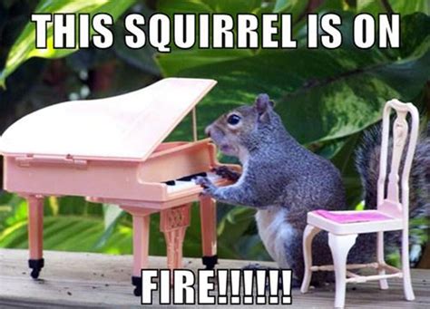 Replace It With Squirrel Fun