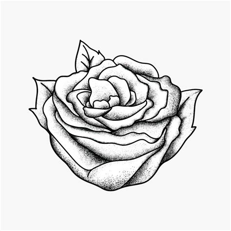 빈티지 장미 올드 스쿨 플래시 문신 디자인 기호 벡터 무료 벡터