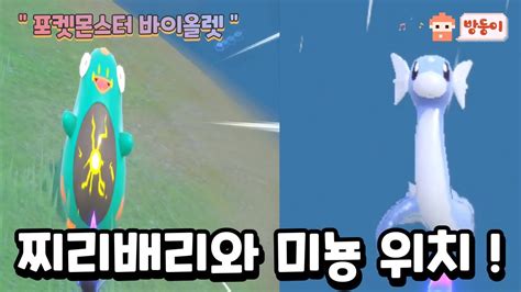 포켓몬스터 바이올렛 미뇽과 찌리배리 위치 Youtube
