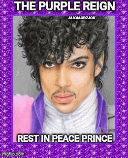 Prince GIF Prince Discover Share GIFs