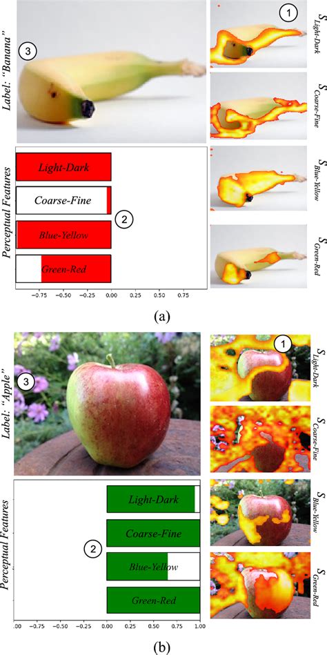example of epu net output visualization using bar charts and saliency download scientific