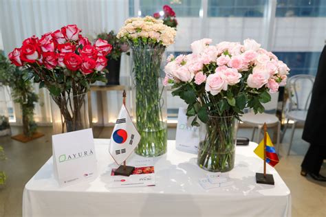 ‘꽃 월드컵 준우승 콜롬비아”한국 시장은 흥미로운 도전” 시사저널 ‘꽃 월드컵 준우승 콜롬비아”한국 시장은 흥미로운 도전” 시사저널