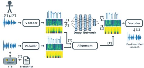 Schematic Diagram Of Our Proposed Method Training [t] Vocoded Human Download Scientific