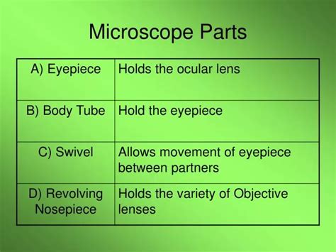Ppt Microscope Parts Powerpoint Presentation Free Download Id4459351