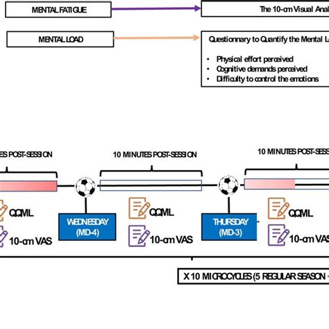 Chronological Explanation Of The Measures And Variables Obtained Download Scientific Diagram