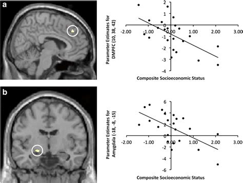 Social Status Modulates Neural Activity In The Mentalizing Network Abstract Europe Pmc
