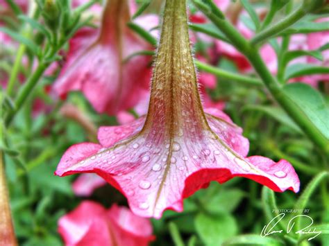 Photography By Issaac Rickenberg After The Storm