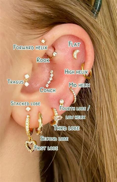 Forward Helix Piercing Chart Types Of Lobe Earrings Piercings Ideas