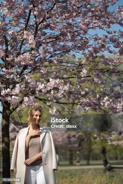 아름 다운 금발 젊은 여 자가 봄 벚꽃 공원에서 자연과 자유 시간을 즐기는 그녀의 여행 관광 자유 시간을 입고 흰색 바지와 T 셔츠 베이 지 색 재킷 건강한 생활방식에 대한
