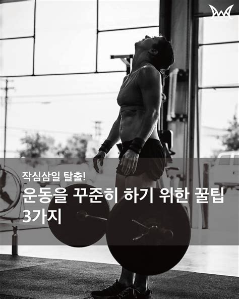 Aware Tribe L 어웨어 트라이브 🏋️‍♂️ 헬스 입문자라면 장비부터 제대로 갖춰보세요 운동을 시작할 때 효과를 높이고 부상을 예방하려면 기본적인 장비부터