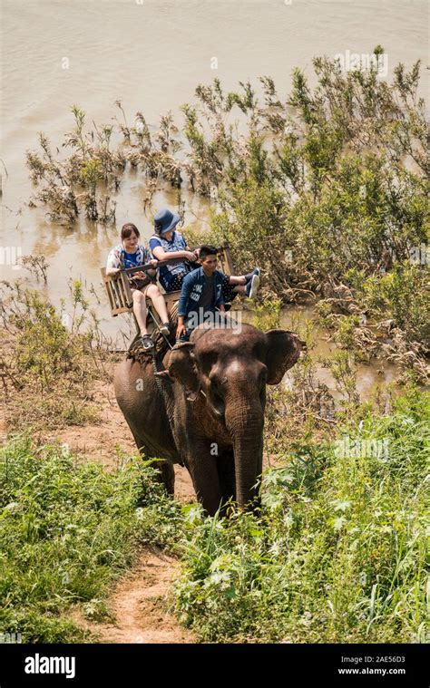 Tourists Riding On Elephants Luang Prabang Elephants Camp Luang