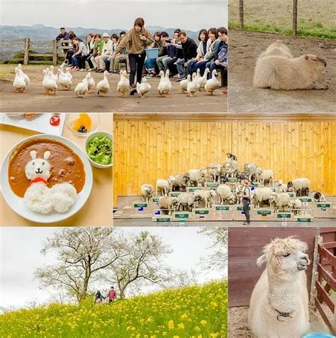 跳出传统“旅游思维”：“文旅”跨界融合重构旅游新生态 知乎