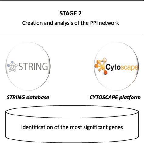 Semi Automatic Workflow For The Identification And Functional