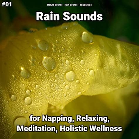 01 Rain Sounds For Napping Relaxing Meditation Holistic Wellness By