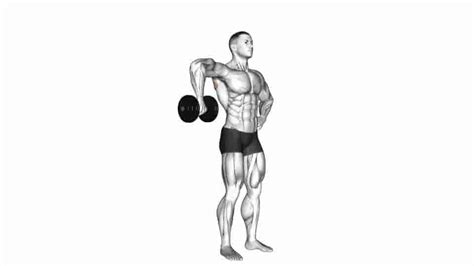 Dumbbell Upright Shoulder External Rotation Video Guide Lyfta