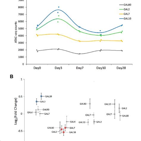Atac Seq Results On Peaks Mapped To The Gal Network Genes A Atac Seq