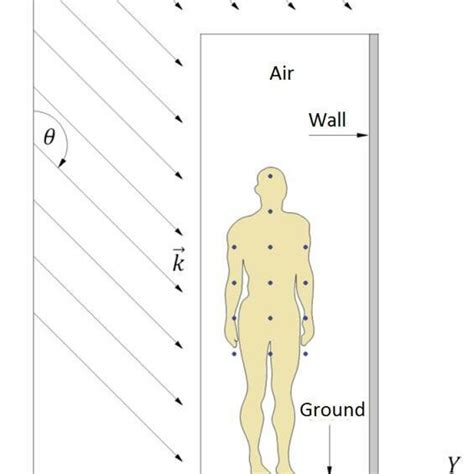 Human Exposure Setup For The Investigation Of The Spatial Averaging Download Scientific Diagram