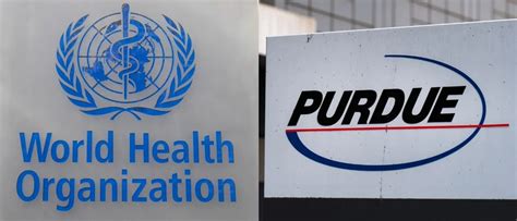 Bipartisan Report Accuses Purdue Pharma Of ‘corrupting Uns Health