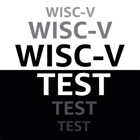 Wisc V Test Practice And Prep By Perfect Consulting Bv