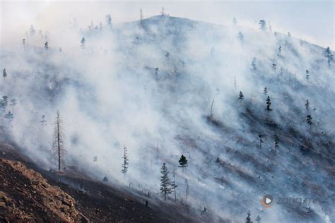 ОБЕГ Ой хээрийн түймрийн эрсдэл өндөр хэвээр байна